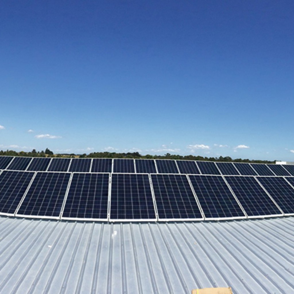 Jump Crazy Panels installed 2s - EnviroGroup